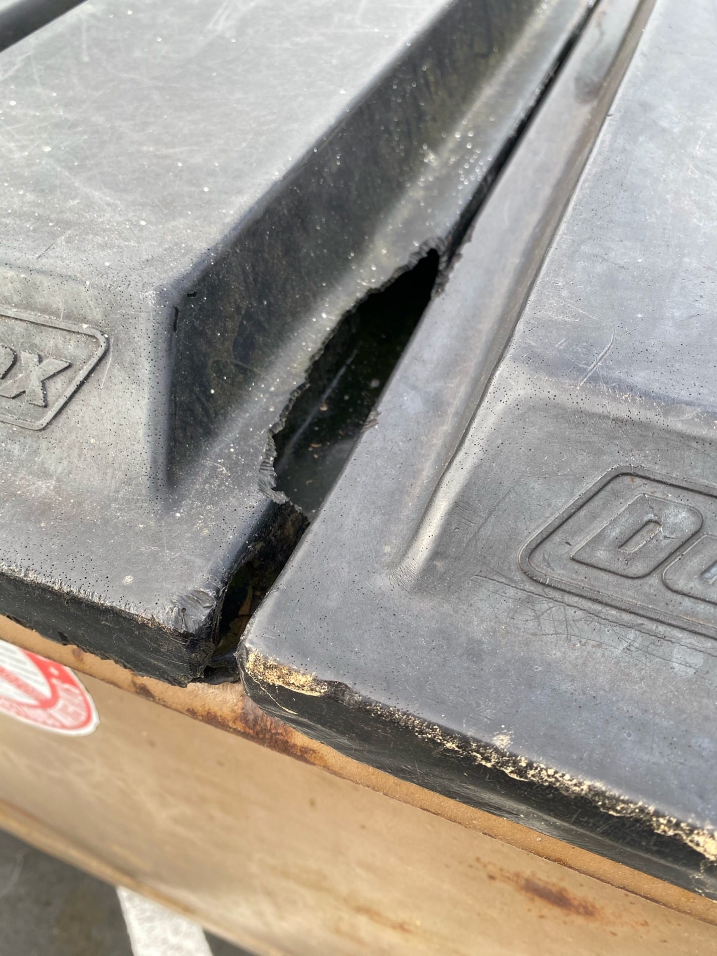 Dumpsters Attract Rats - Prevention & Rat Control