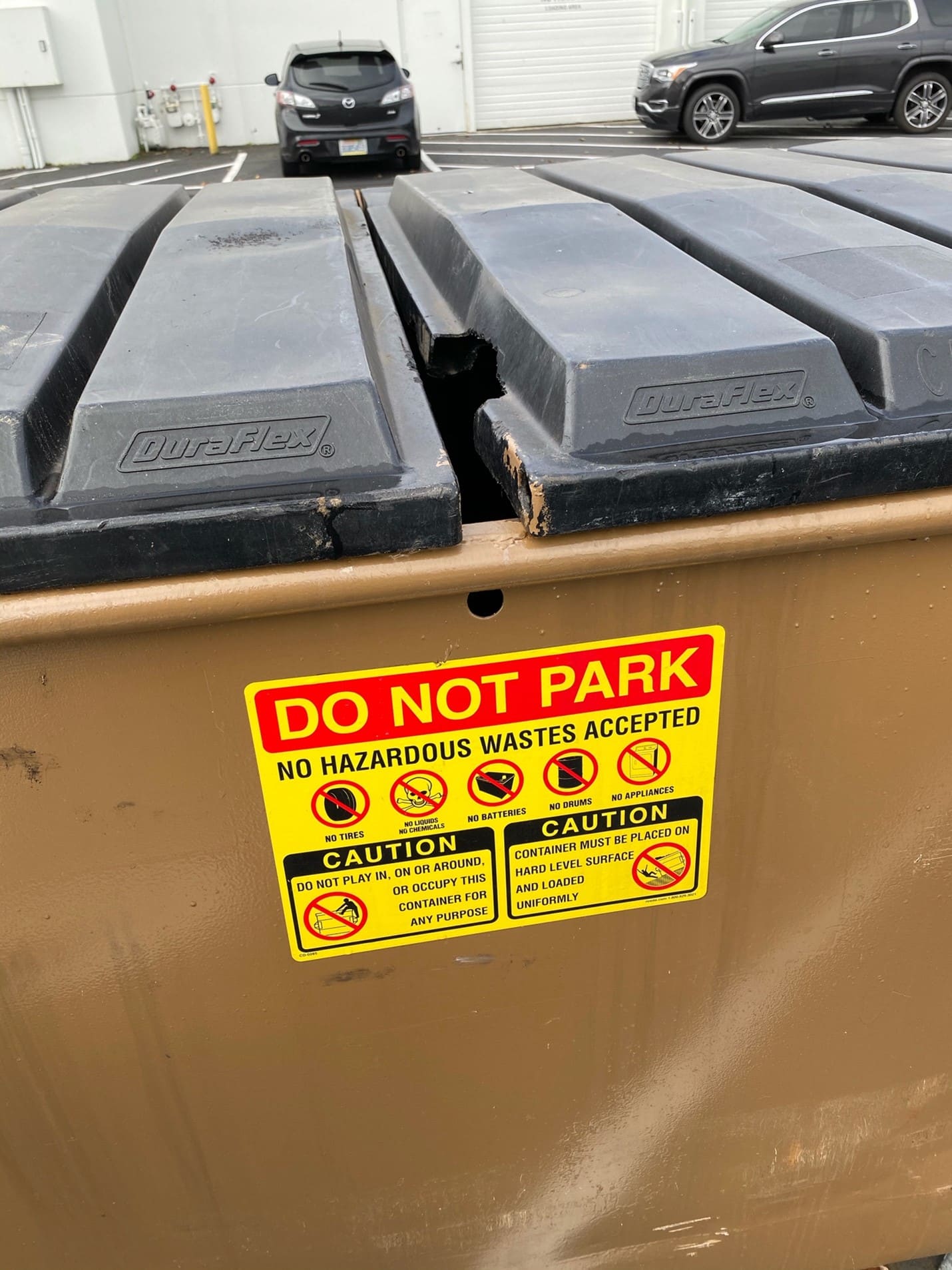 Dumpsters Attract Rats - Prevention & Rat Control