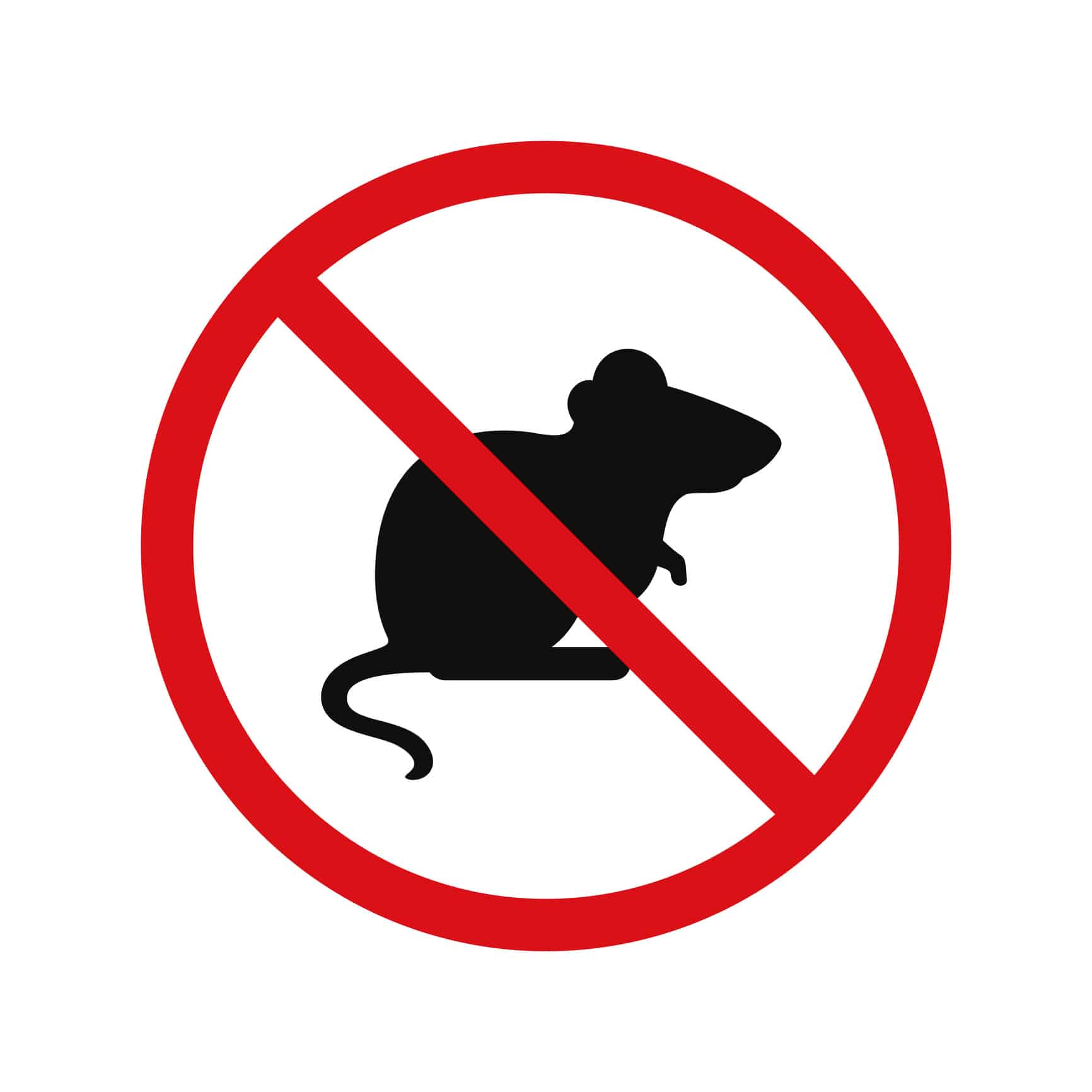 How Quickly Do Rodents Reproduce?